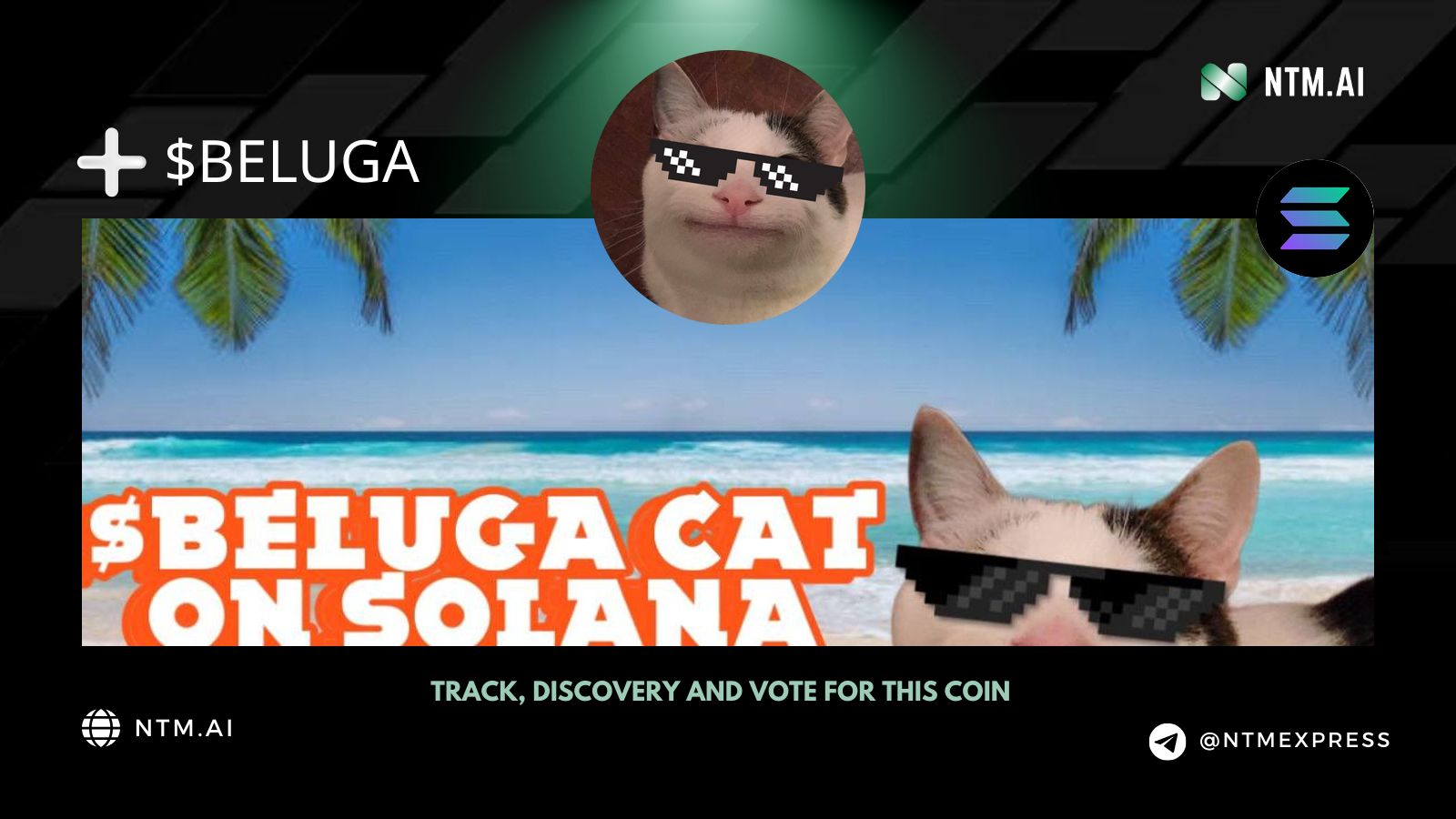 Beluga Cat (BELUGA) | NTM.ai