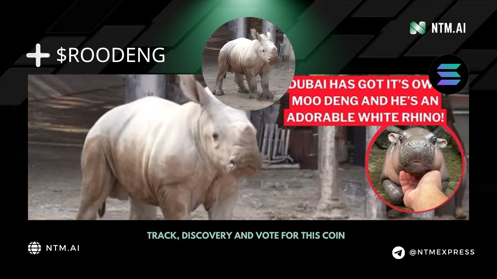 Roodeng (Dubai's Moodeng) (ROODENG) | NTM.ai