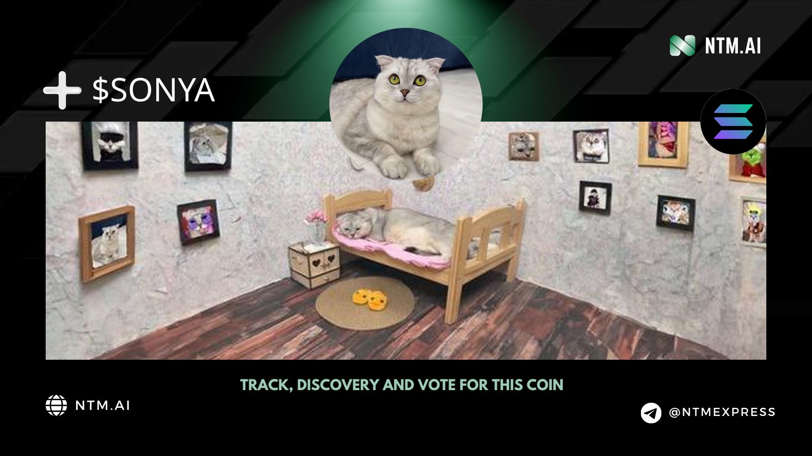 SONYA (SONYA) | NTM.ai