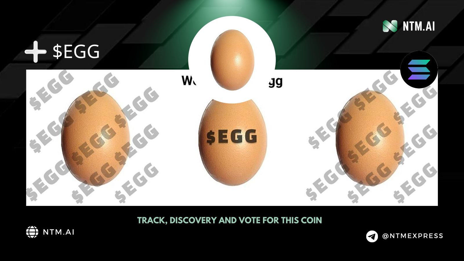World record egg (EGG) | NTM.ai