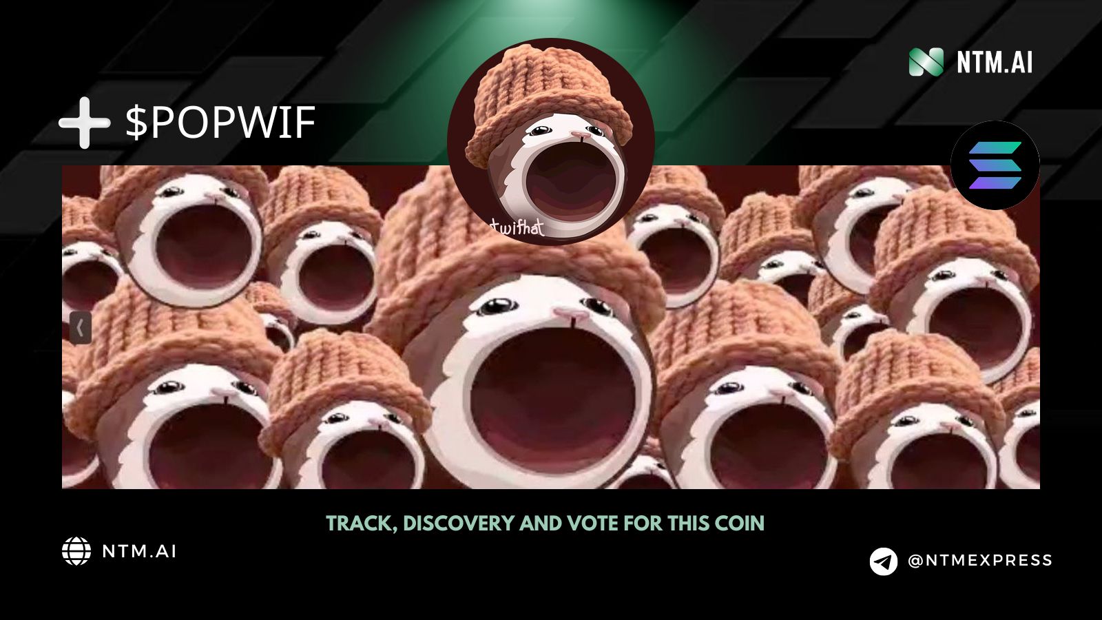 popcatwifhat (POPWIF) | NTM.ai