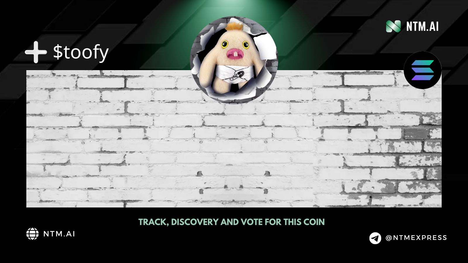 toofy (toofy) | NTM.ai