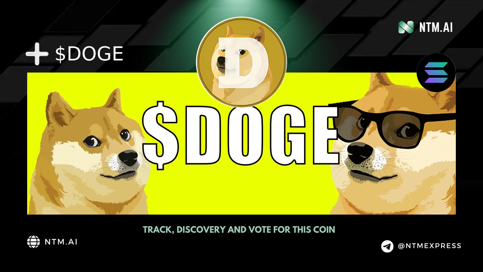 DOGE on SOL (DOGE) | NTM.ai