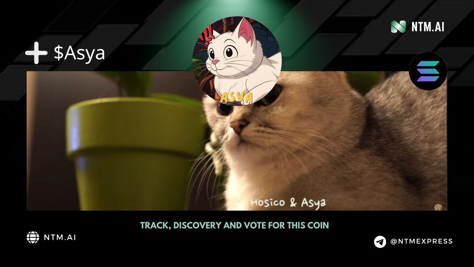 Hosico Wife (Asya) | NTM.ai